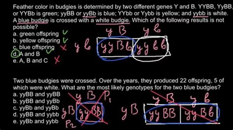 Nikolays Genetics Lessons On Linkedin Advance Examples Of Simple Mendelian Genetics