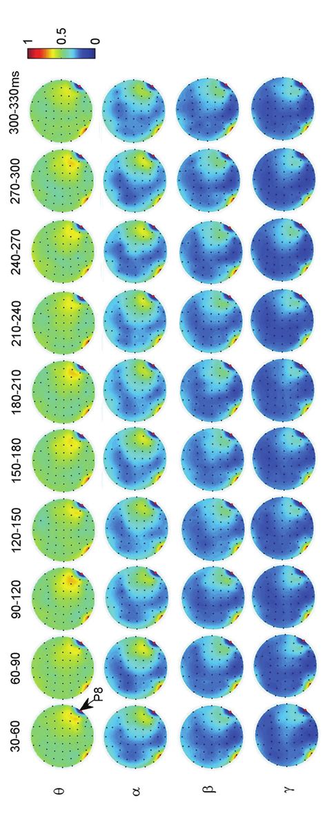 Grand Average Of Topography Of Dynamical Functional Connectivity