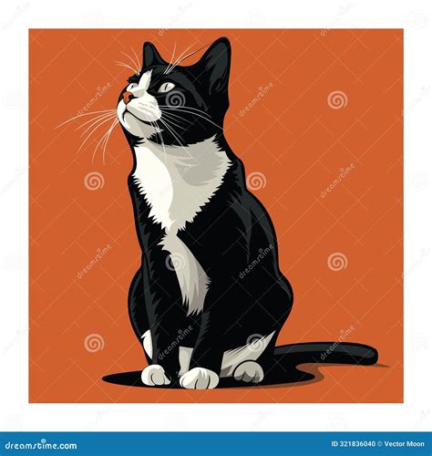 Black White Tuxedo Cat Looking Up Orange Background Feline Attentive Posture Detailed Fur
