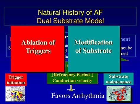 Ppt Substrate Ablation Cafe A Promising Or Vanishing Technique