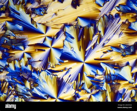 Barlox 12 Polarized Light Micrograph Of Barlox 12 Lauryl Dimethyl