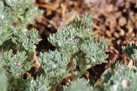 Teeny Tiny Rain By Photostalking On Deviantart