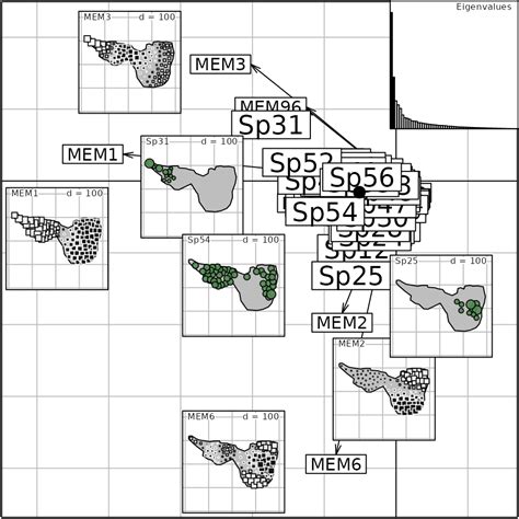 Morans Eigenvector Maps And Related Methods For The Spatial Multiscale