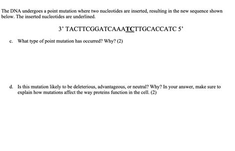 Solved The Dna Undergoes A Point Mutation Where Two