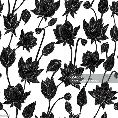 수련 손 그리기 개요 예술 원활한 벡터 패턴 흑백 손 은 연꽃 중계기 배경의 그림을 그립니다 고풍스런에 대한 스톡 벡터 아트 및