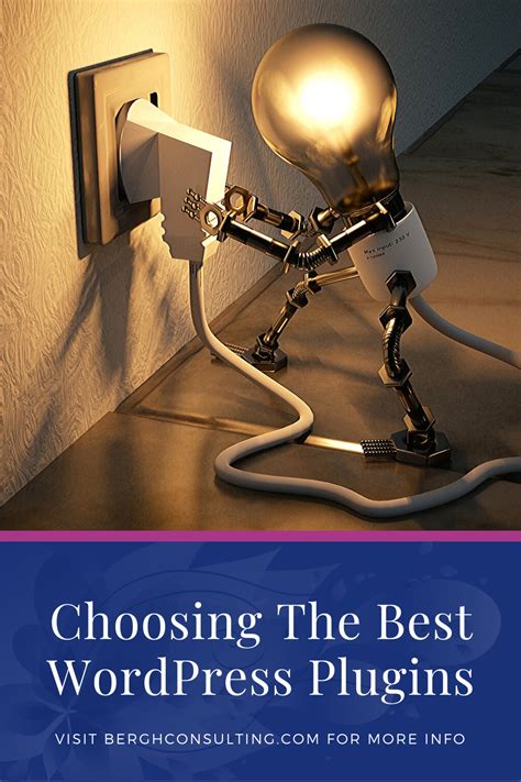 Choosing The Best Wordpress Plugins Bergh Consulting
