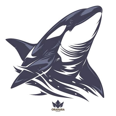 Premium Vector Orca Hunting In A Pod