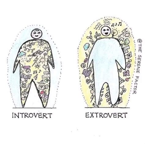 This Picture Says It All Rintrovert