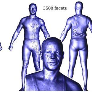 PDF Mesh Parameterization Theory And Practice