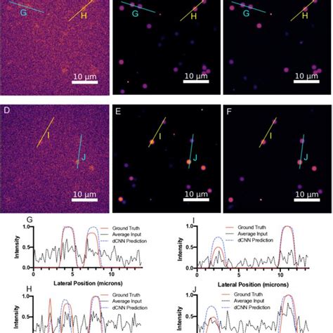 Deep 2 Testing Phase Qualitative Evaluation On The Fluorescent Beads Download Scientific