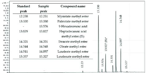Example Of Gc Ms Intensity Peak Area And Compound Of Each Peak For K 2 Download Scientific