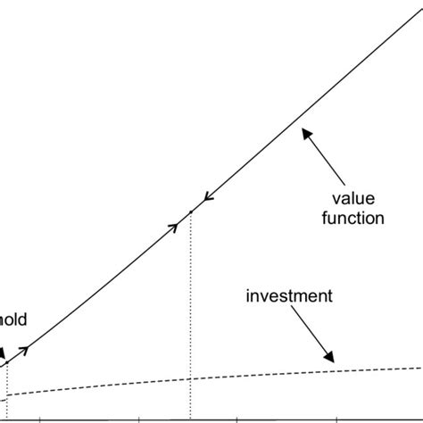 Optimal Value Function And Optimal Investment Download Scientific Diagram