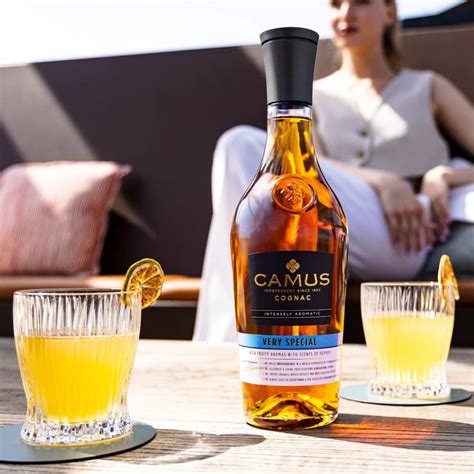 Unlock the World of Camus Cognac: Prices and Bottle Sizes - TheSwissPub.com