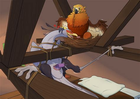 Rule 34 2020 Accipitrid Accipitriform Addison Frisky Ferals