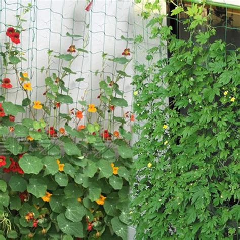 Cucumber Netting Climbing Plant Support Trellis Netting Flowers And