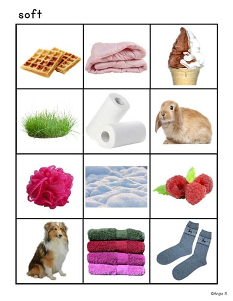 Soft Vs Hard Objects Things Sorting Activity Special Ed Life Skills Autism
