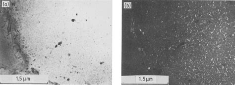 Bright And Dark Field Micrographs Showing The Morphology Of The Download Scientific Diagram