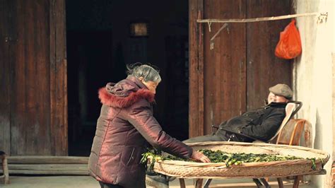 好喜欢这个音乐，让我想到乡村，小时候经常跟着奶奶身后跑着玩，心里无比温暖，宁静和踏实。人间烟火 乡愁记忆 童年回忆拍出电影感