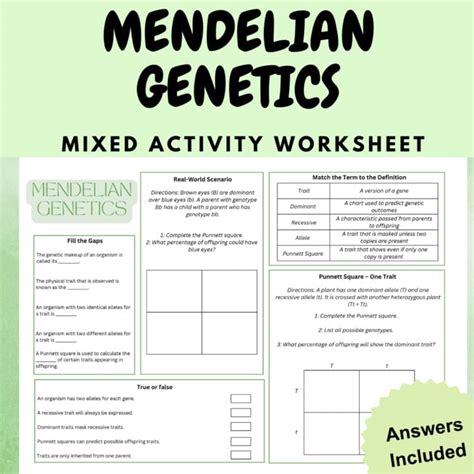 Mendelian Genetics Worksheet Punnett Squares Dominant And Recessive Traits