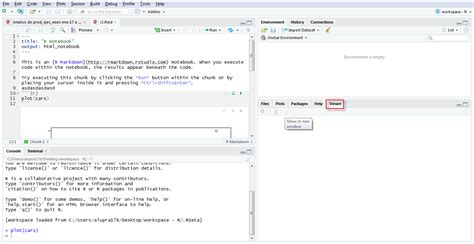 R Markdown Rstudio Notebook Viewer Doesn T Show The Code Stack Overflow