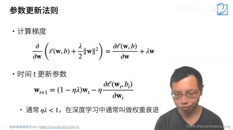 李沐之权重衰退 李牧权重衰退代码 csdn博客