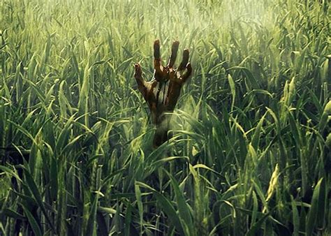 Netflix Rilis Trailer Film Horor In The Tall Grass Greenscene