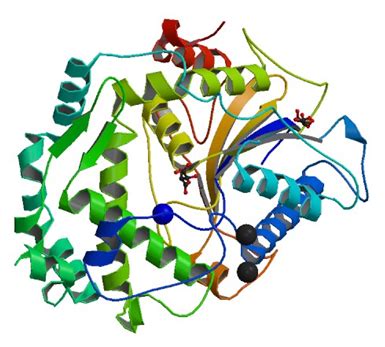 Enzyme Activity Measurement For 4 Phytase
