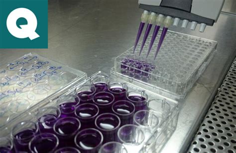 Qacs Lab In Vitro Testing Services