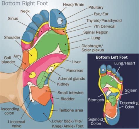 Diagram Of Foot Massage How To Diy Foot Massage At Home For