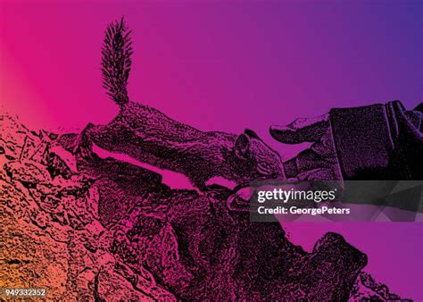 Chipmunk Feeder Photos And Premium High Res Pictures Getty Images