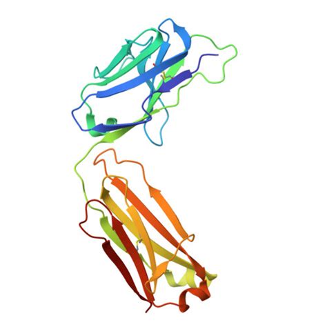 Rcsb Pdb 8tlm Structure Of A Class A Gpcr Fab Complex