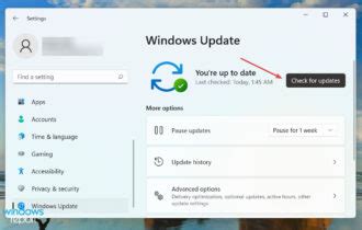 Windows Voice Typing Not Working Fix It In Steps