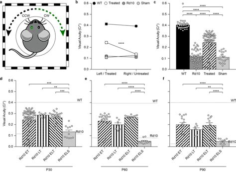 Preservation Of The Visual Acuity In Rd10 Treated Mice A For Each