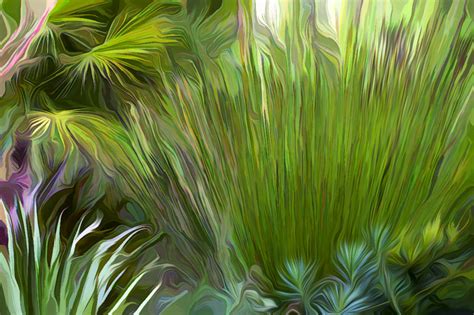 Cape Rush Grass Exploding Photograph By Saxon Holt Fine Art America