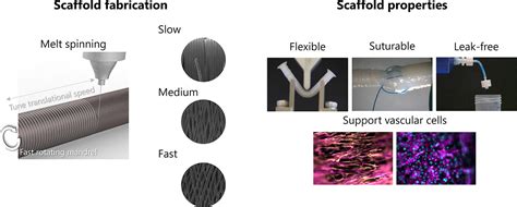 Flexible Suturable And Leak Free Scaffolds For Vascular Tissue Engineering Using Melt Spinning