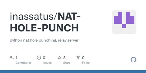 GitHub Inassatus NAT HOLE PUNCH Python Nat Hole Punching Relay Server