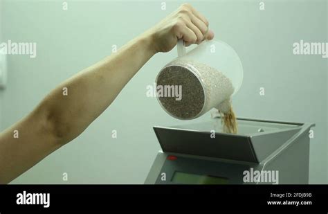 Laboratory Testing Wheat Seed Quality Control Stock Video Footage Alamy