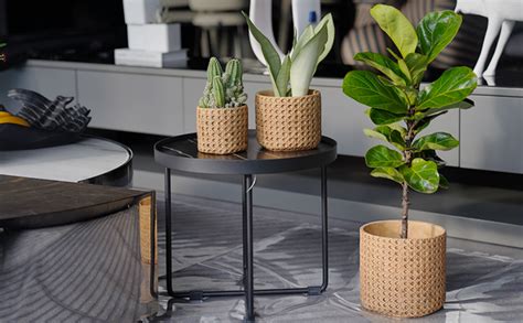 Ceramic Planters Interior Design Ideas