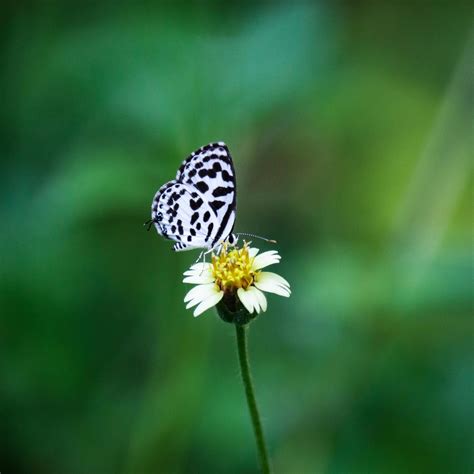 Sathwik Vipparthi 사진