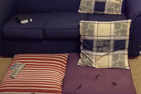 Did You Have Sex With Her Hydar Dewachi Hydar Dewachi