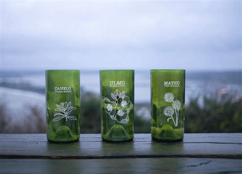 Vasos Reciclados Flora Chilota” Set 3 Reverdece