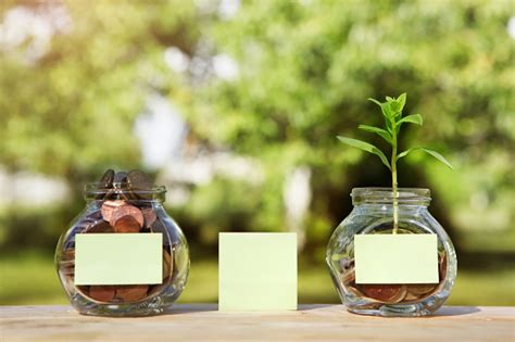 흐린 녹색 자연 배경에 유리 항아리 외부 동전에서 성장 식물 돈 절약 및 투자 금융 개념 쓰기 스티커 0명에 대한 스톡 사진 및 기타 이미지 Istock