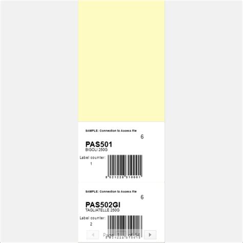 Print Pane Default Printing Form NiceLabel Help Center