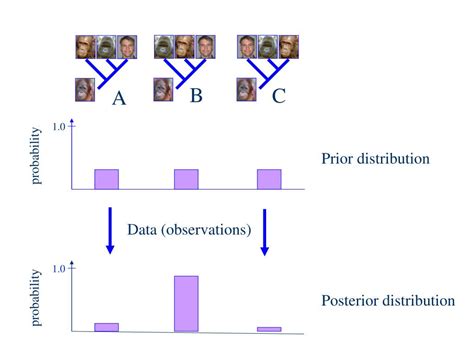 Ppt Lab3 Bayesian Phylogenetic Inference And Mcmc Powerpoint