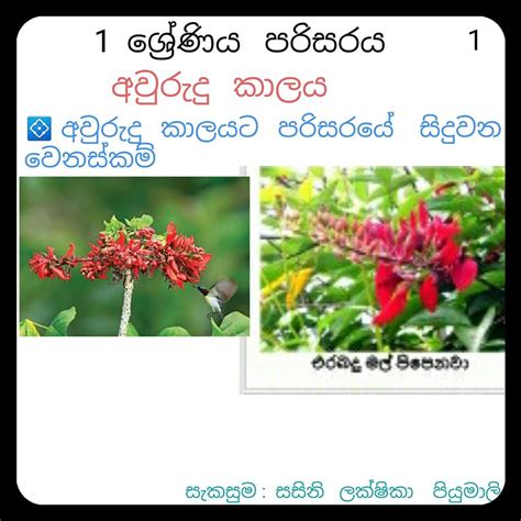 පුංචි ඉස්කෝලේ 1 ශ්‍රේණිය පරිසරය Facebook