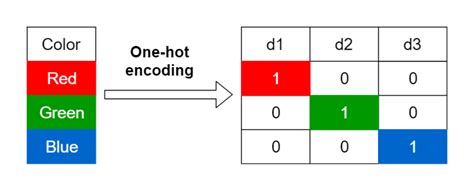 A Beginners Guide To One Hot Encoding How To Convert Categorical Data