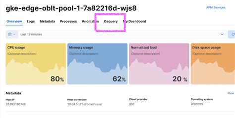 Infra Ui Hide Osquery In Fly Outs In Serverless Observability Project