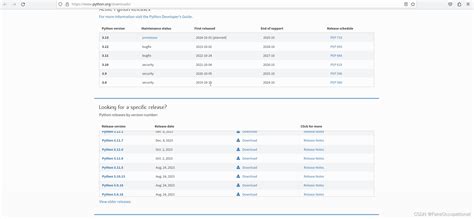 Linux系统下vscode Portable版本的python环境搭建003：venv