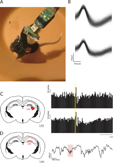 Multi Site Recordings Using The Ultralight Weight Hyperdrive A Image