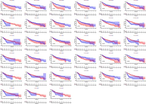 Identification Of A Macrophage Marker Gene Signature To Evaluate Immune Infiltration And